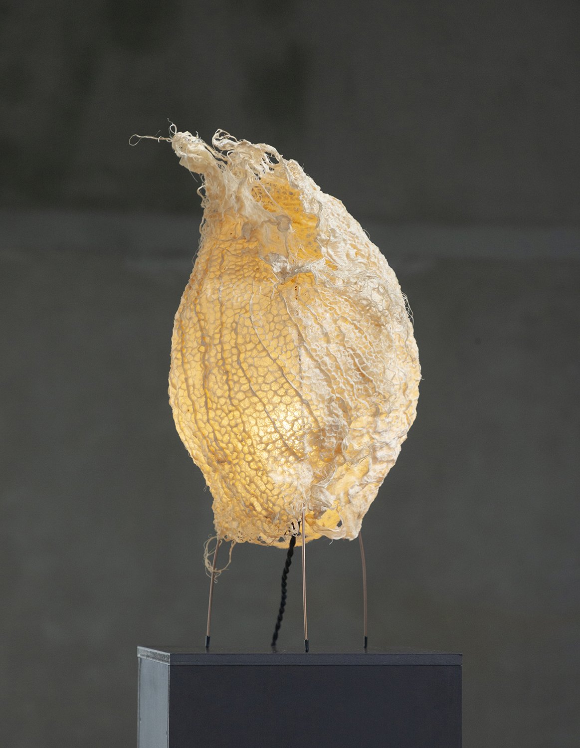 YinjiSpace - British Artists x Zena Holloway